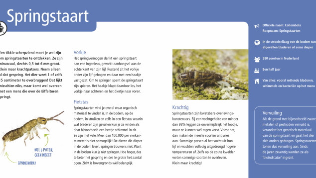 Wat doe jij voor de bodemdieren?