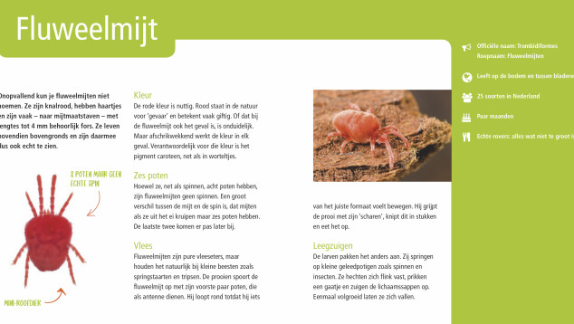 Wat doe jij voor de bodemdieren?