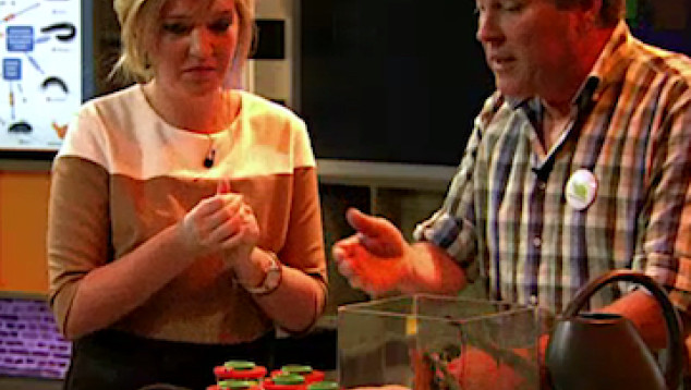 Bodemdierendagen 2017: de bodem leeft!